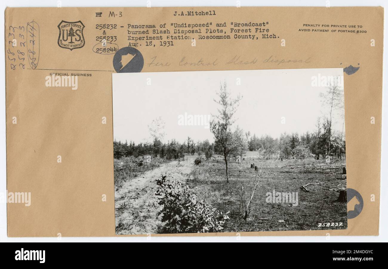 Fire Prevention - Slash Disposal. Photographs Relating to National ...