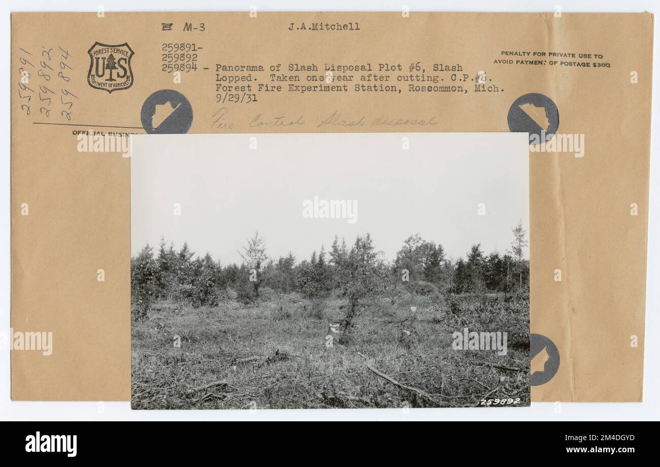 Fire Prevention - Slash Disposal. Photographs Relating to National ...