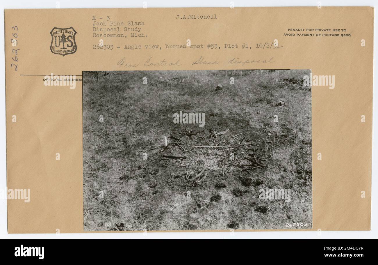 Fire Prevention - Slash Disposal. Photographs Relating to National ...