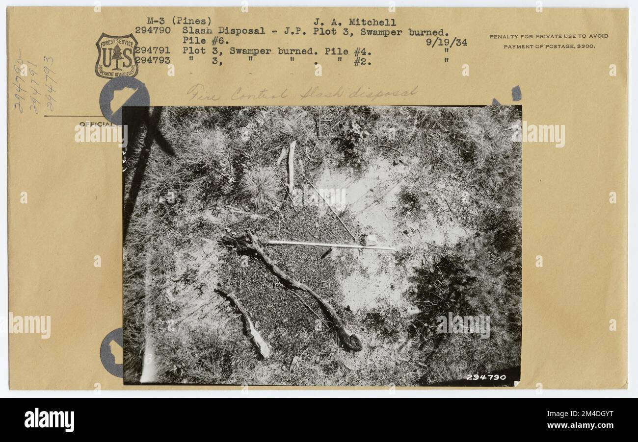 Fire Prevention - Slash Disposal. Photographs Relating to National ...