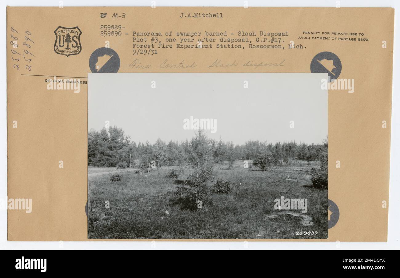 Fire Prevention - Slash Disposal. Photographs Relating to National ...