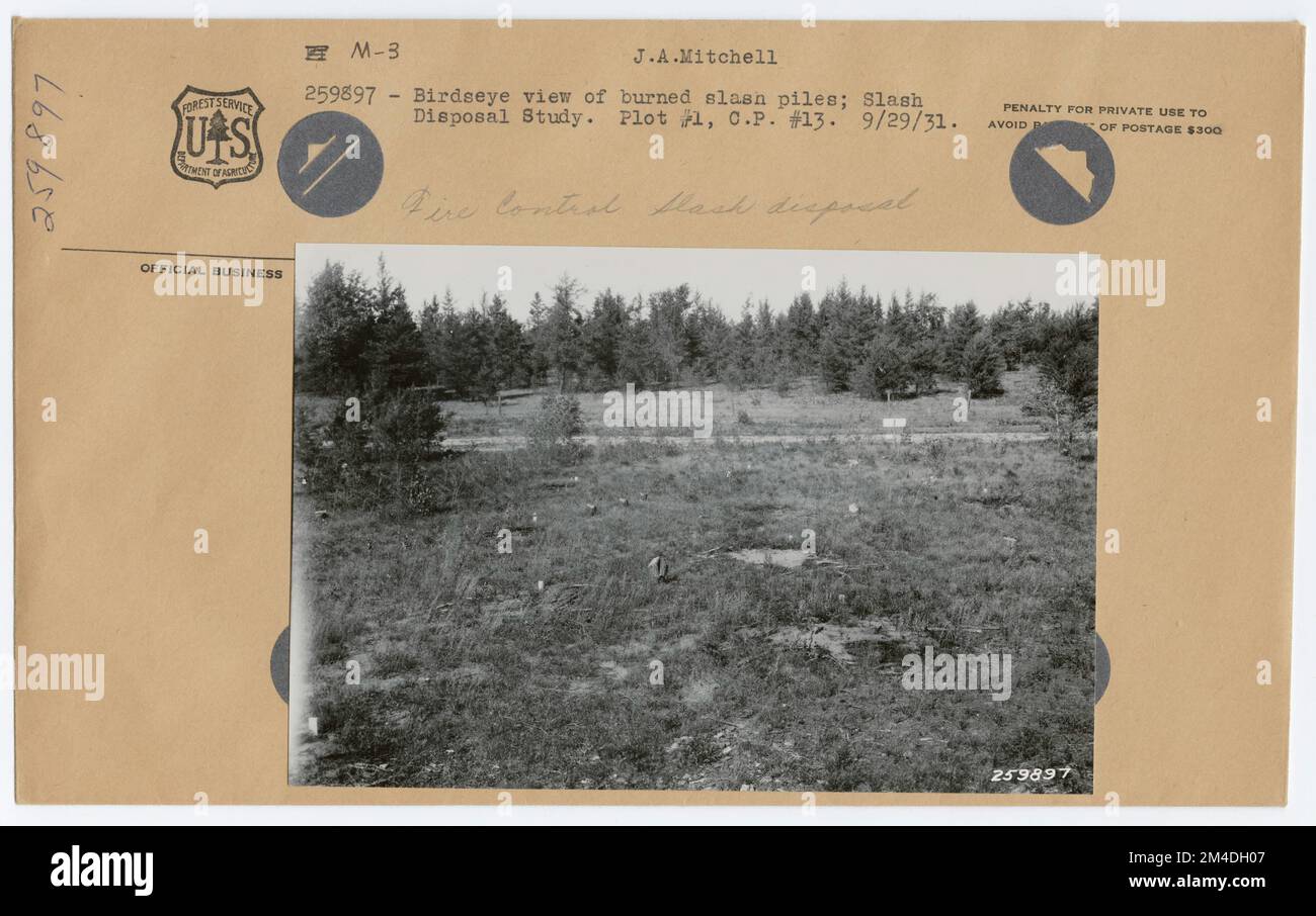 Fire Prevention - Slash Disposal. Photographs Relating to National ...