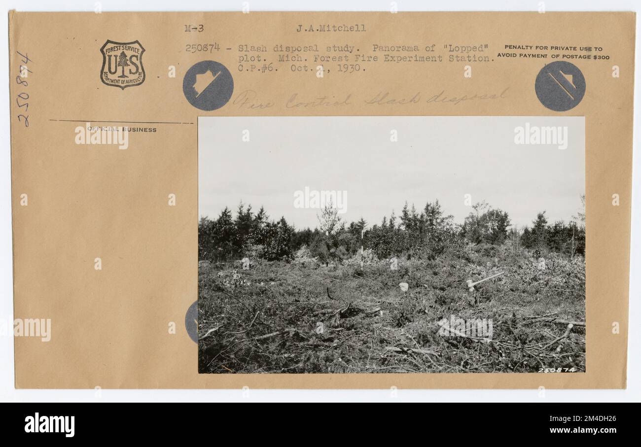 Fire Prevention - Slash Disposal. Photographs Relating to National ...