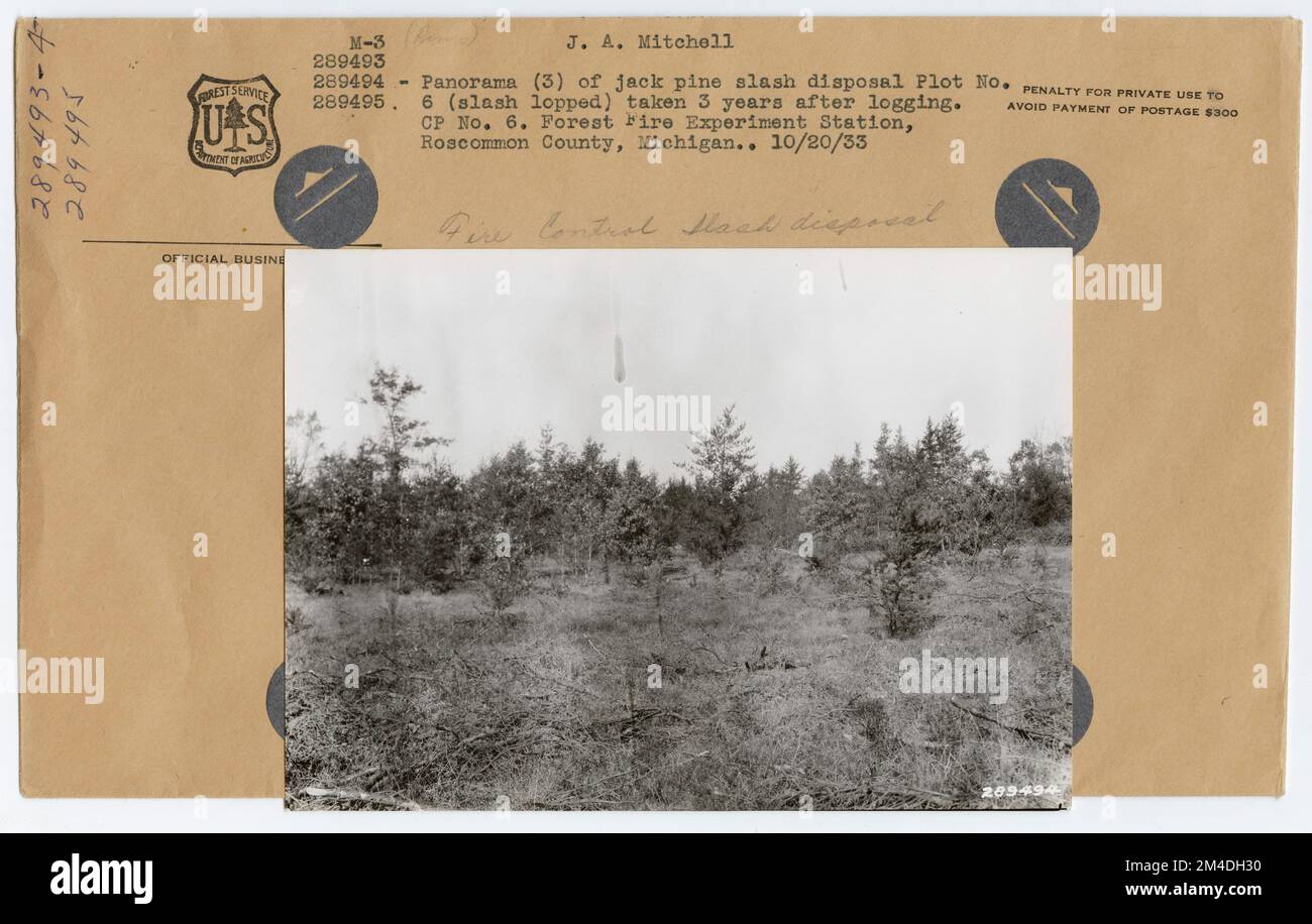 Fire Prevention - Slash Disposal. Photographs Relating to National ...