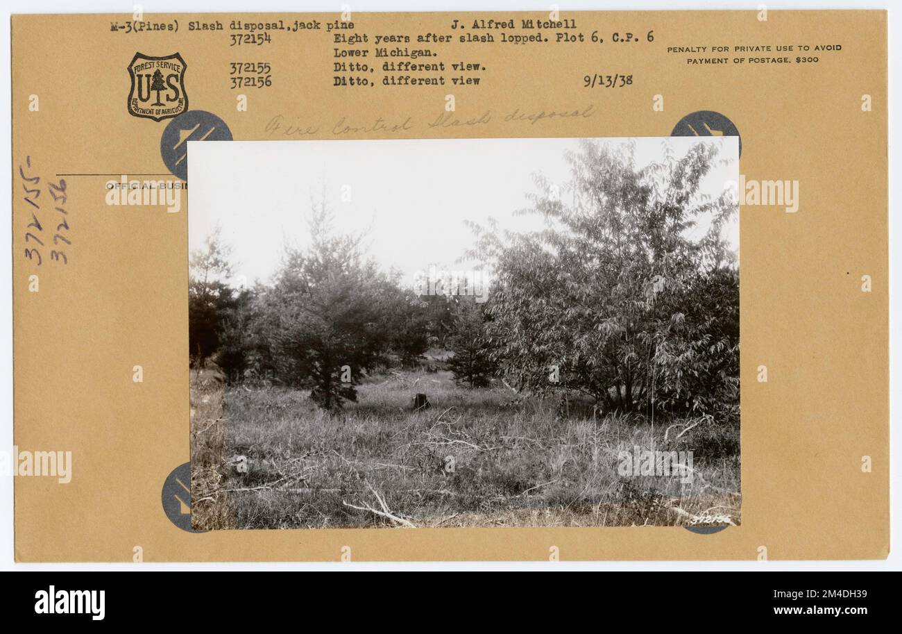 Fire Prevention - Slash Disposal. Photographs Relating to National ...