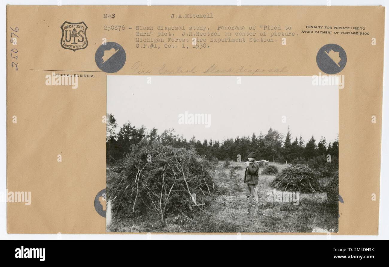Fire Prevention - Slash Disposal. Photographs Relating to National ...