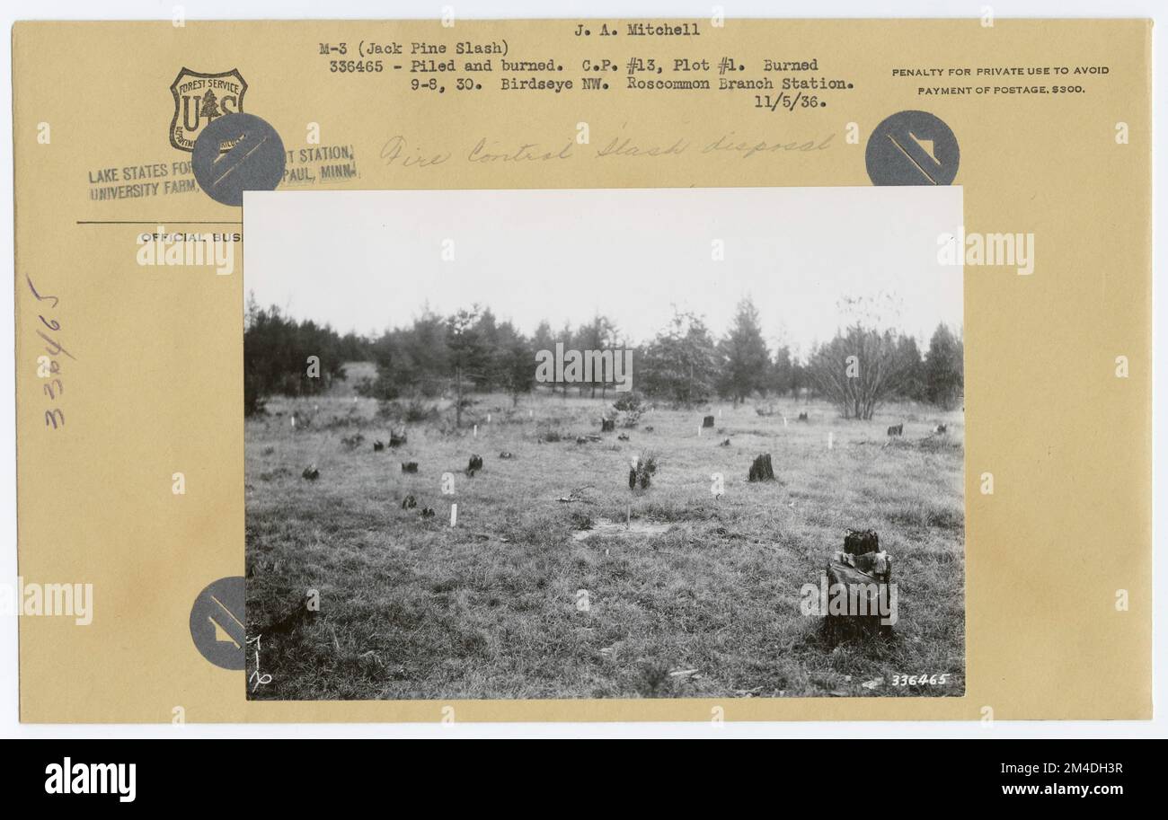 Fire Prevention - Slash Disposal. Photographs Relating to National ...