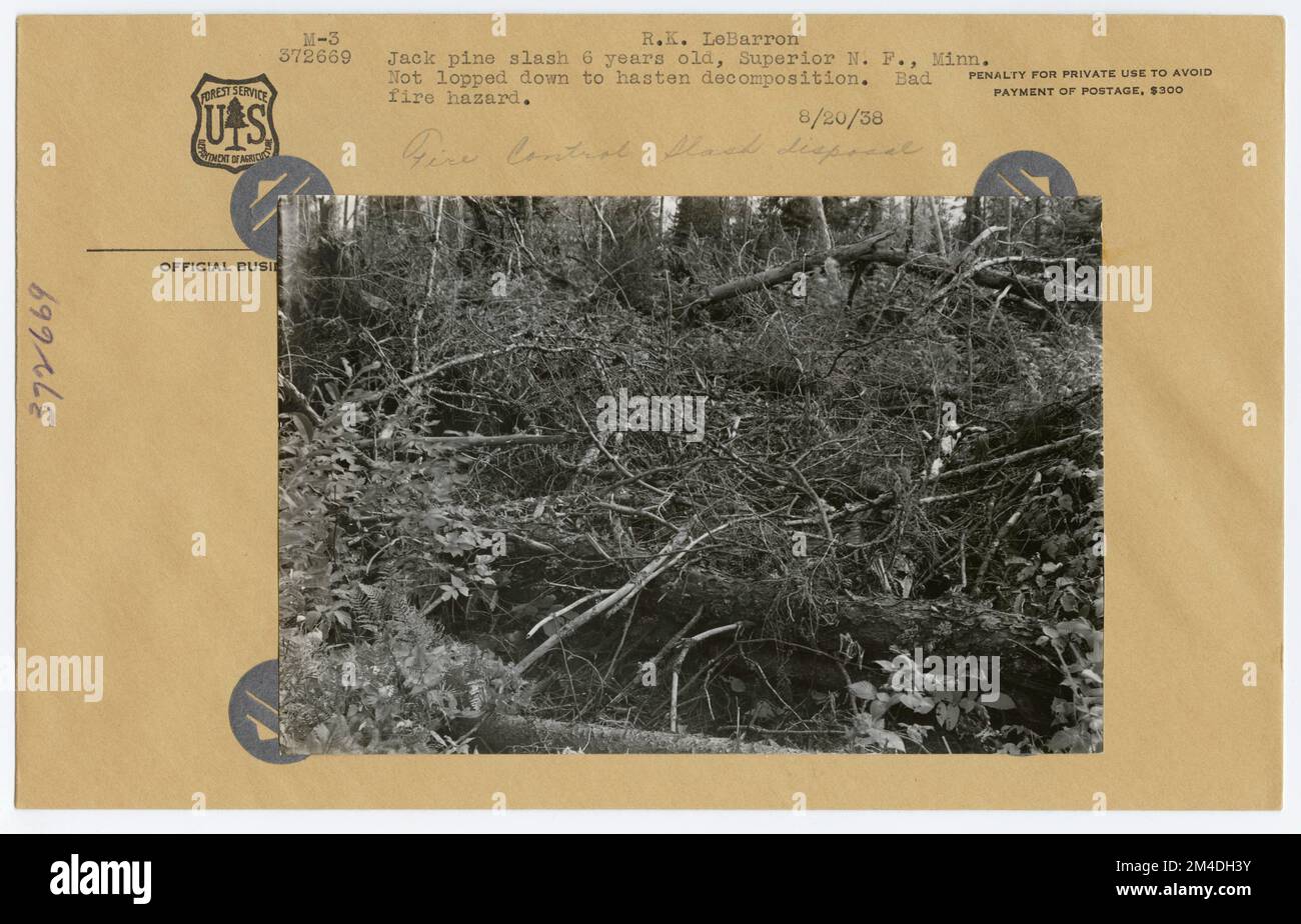 Fire Prevention - Slash Disposal. Photographs Relating to National ...
