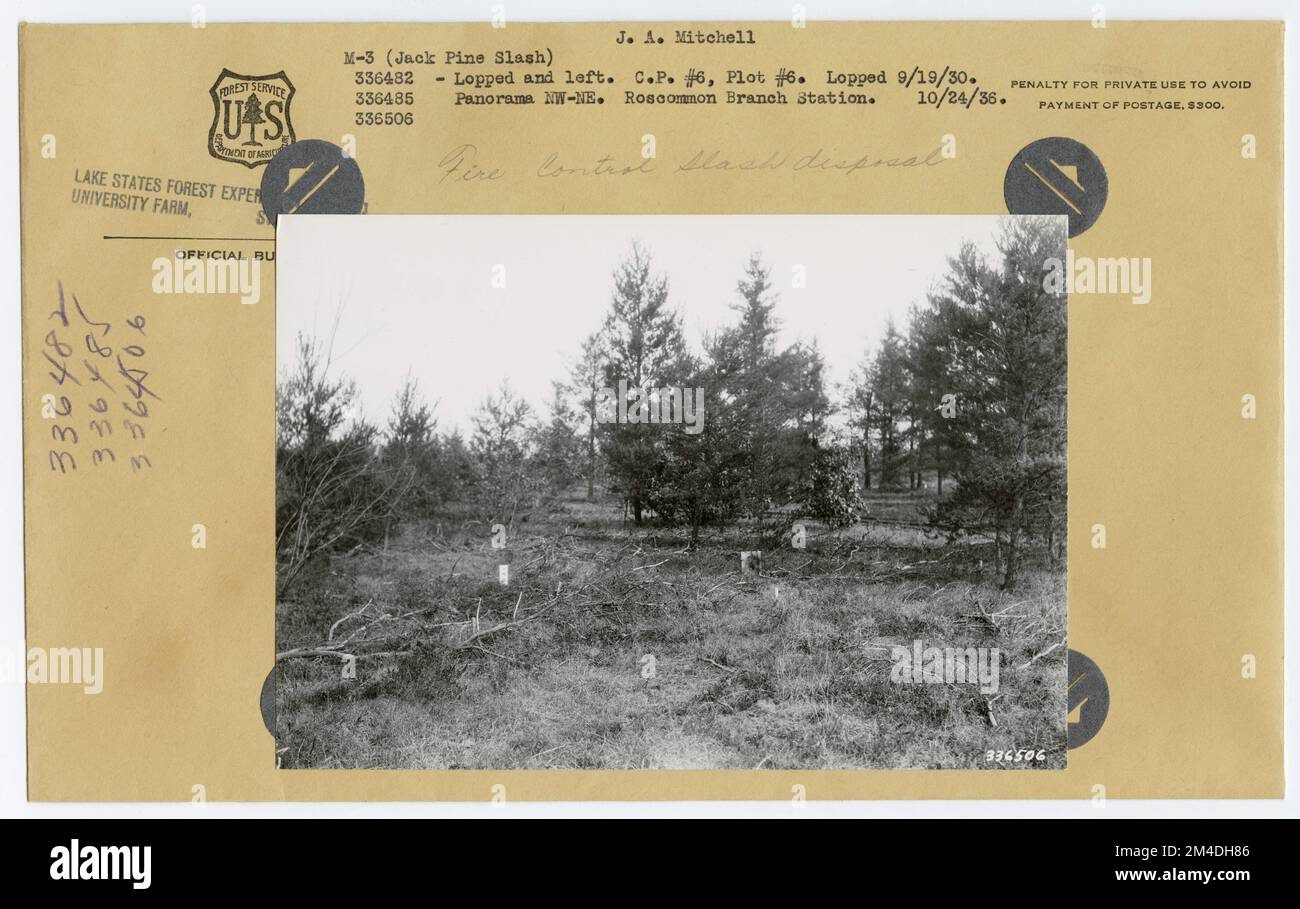 Fire Prevention - Slash Disposal. Photographs Relating to National ...