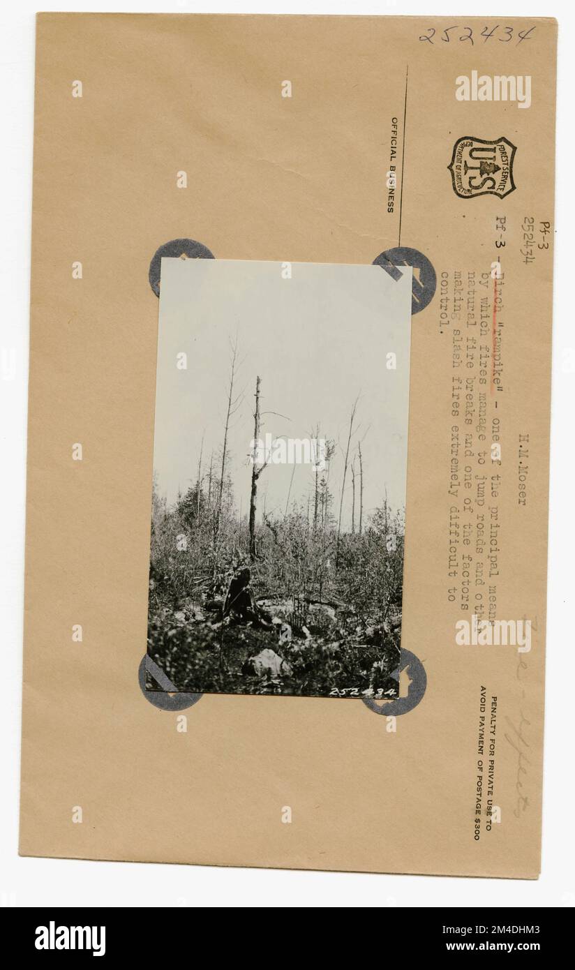 Burned Over Areas - Old Burns. Photographs Relating to National Forests ...