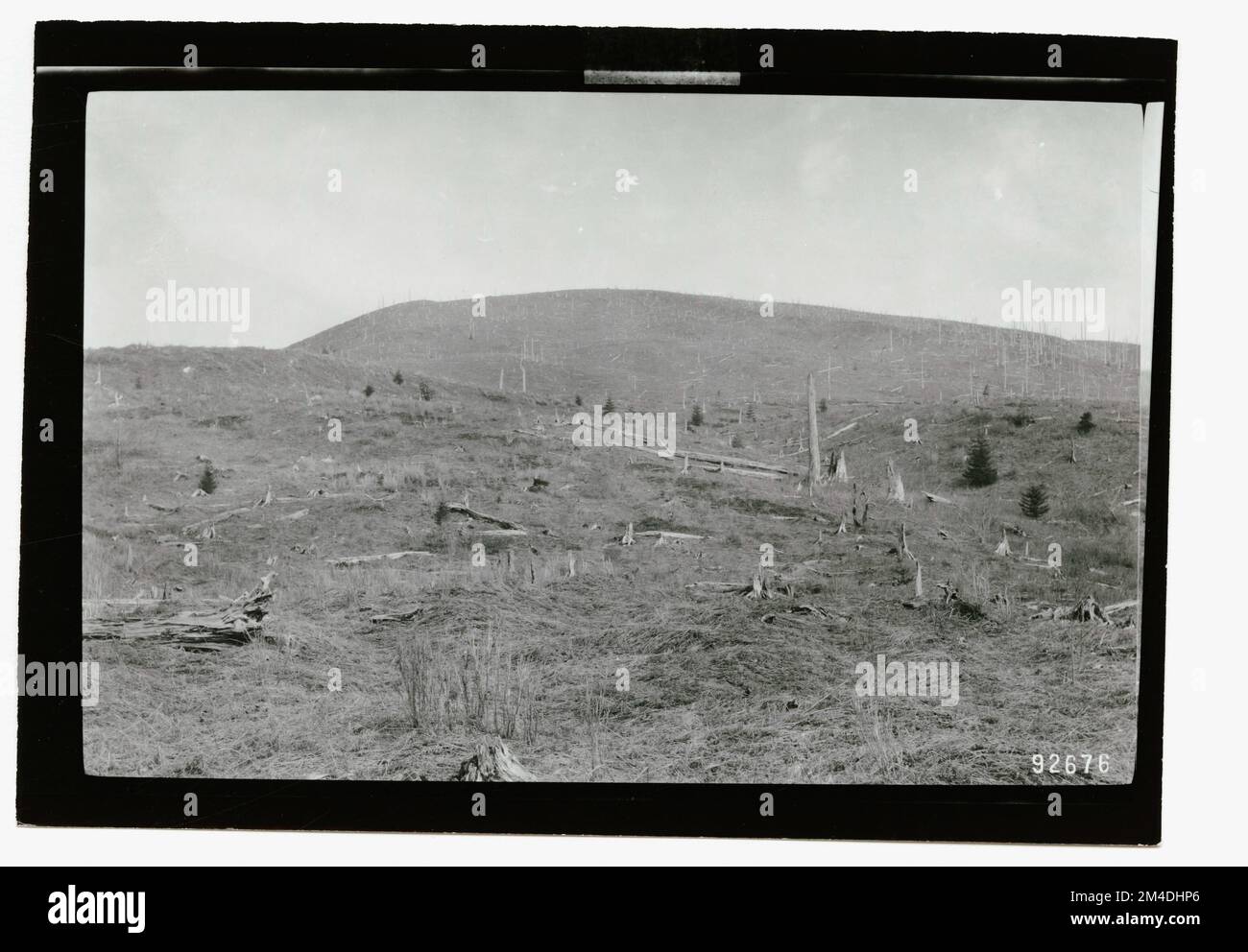Burned Over Areas - Old Burns. Photographs Relating to National Forests ...