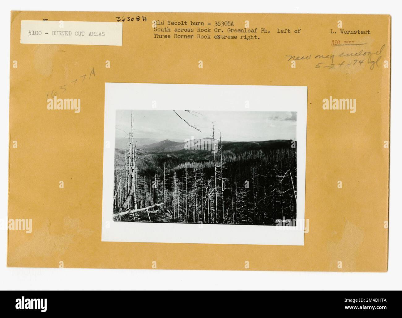 Burned Over Areas - Old Burns. Photographs Relating to National Forests ...