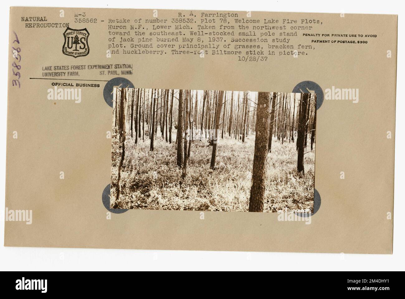 Areas burned forest fire Cut Out Stock Images & Pictures - Alamy