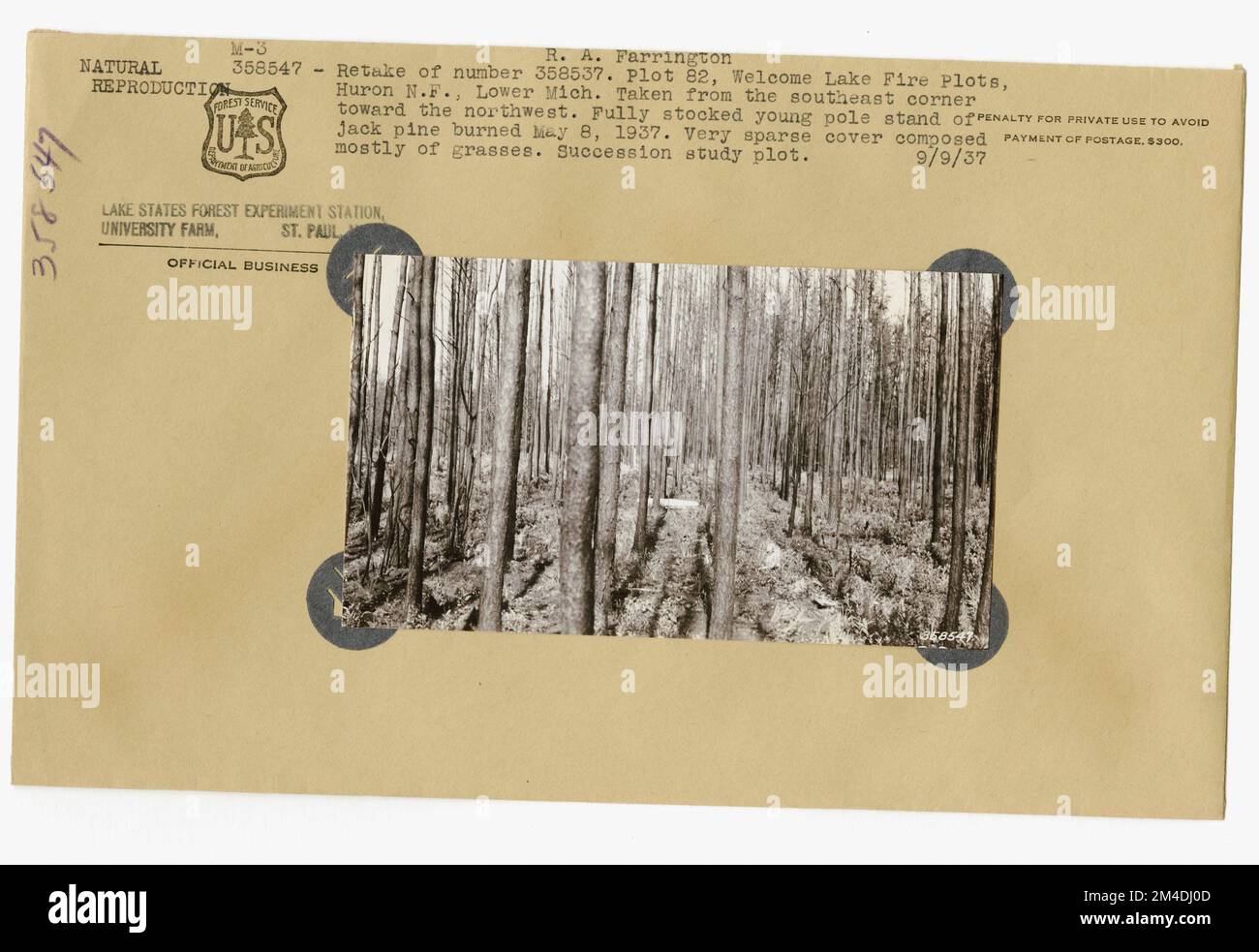 Burned Over Areas - Old Burns. Photographs Relating to National Forests ...