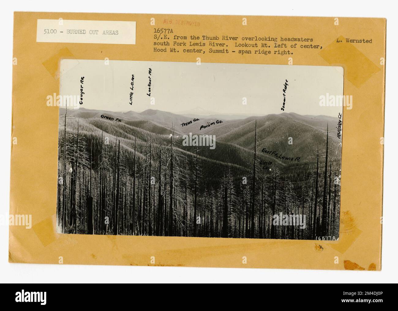 Areas burned forest fire Cut Out Stock Images & Pictures - Alamy