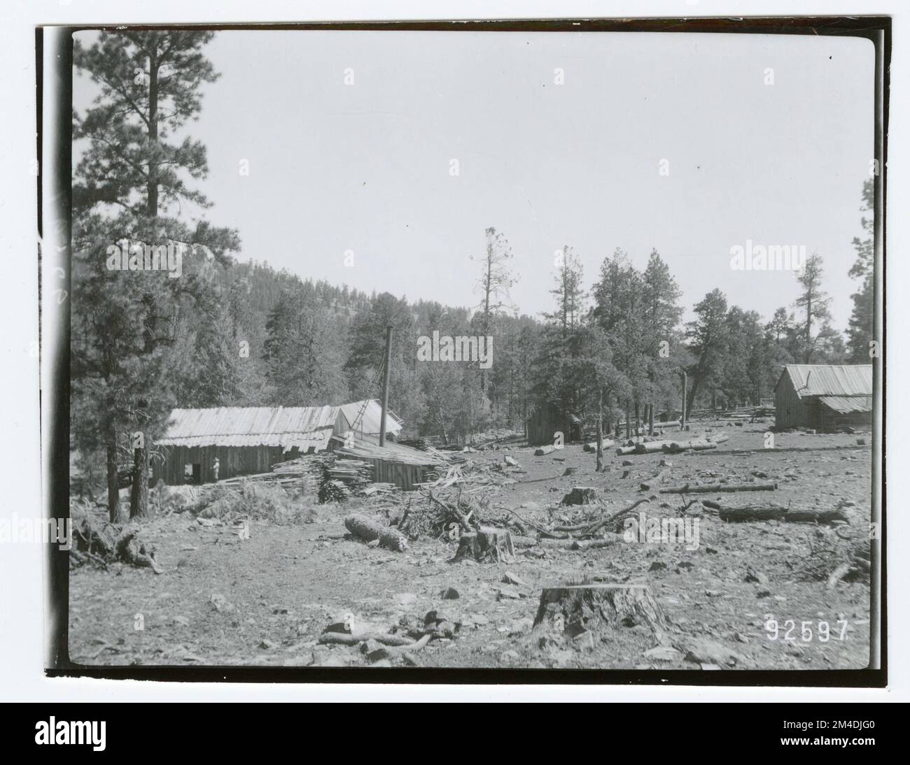 Sawmill Interiors - Saw Heads, Circular. Photographs Relating to ...