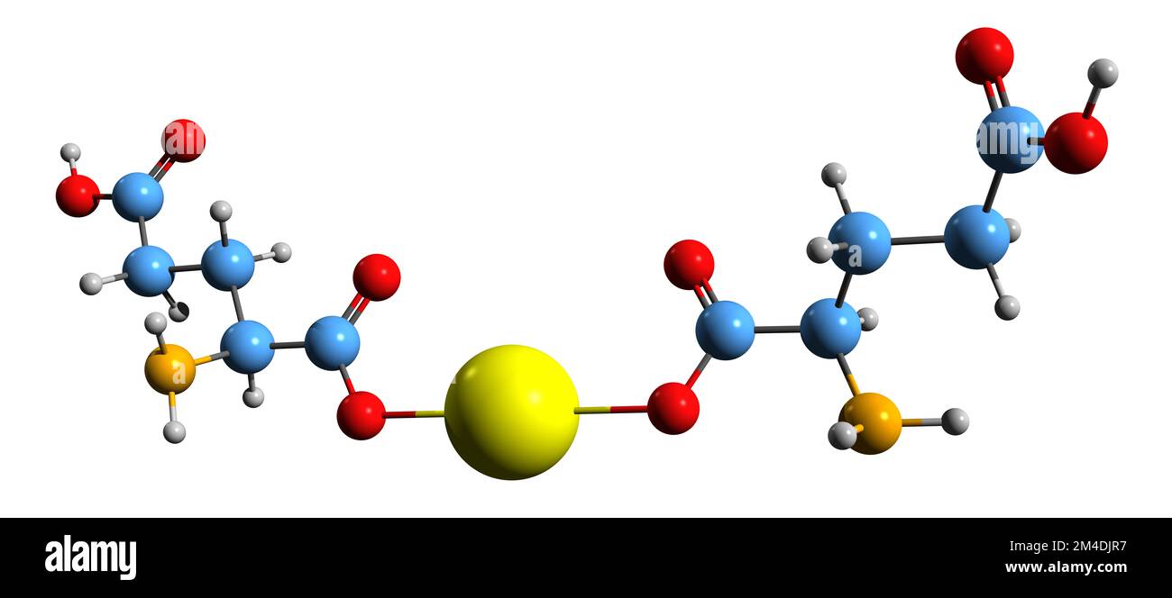 3D image of Calcium diglutamate skeletal formula - molecular chemical ...