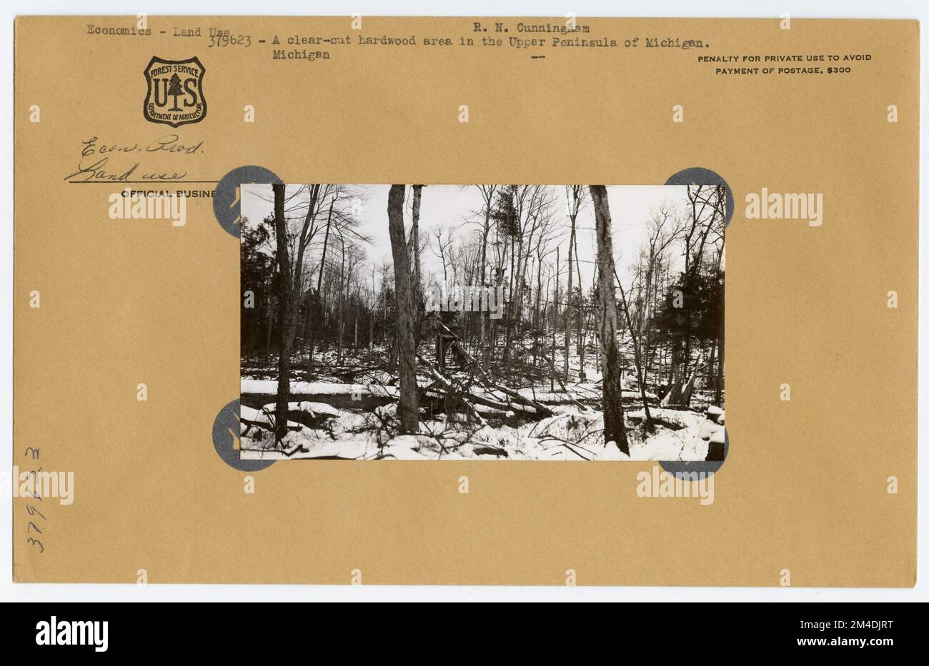 Sawmill Interiors - General. Photographs Relating to National Forests ...