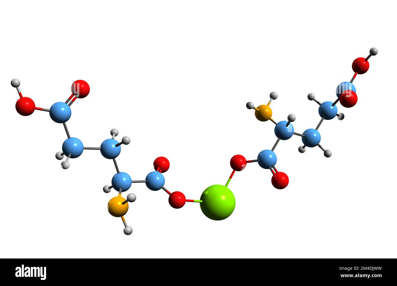 3D image of Magnesium diglutamate skeletal formula - molecular chemical ...