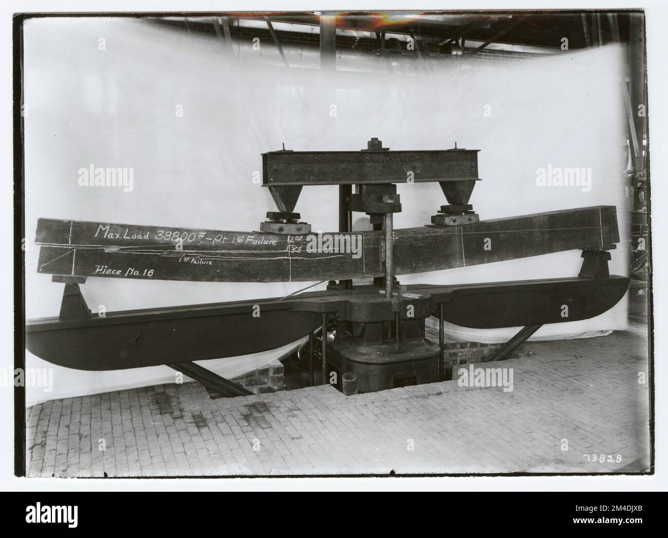 Lab Testing Wood Structural Characters. Photographs Relating to ...