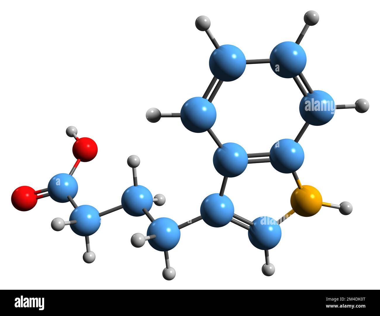 3D image of Indole-3-butyric acid skeletal formula - molecular chemical ...