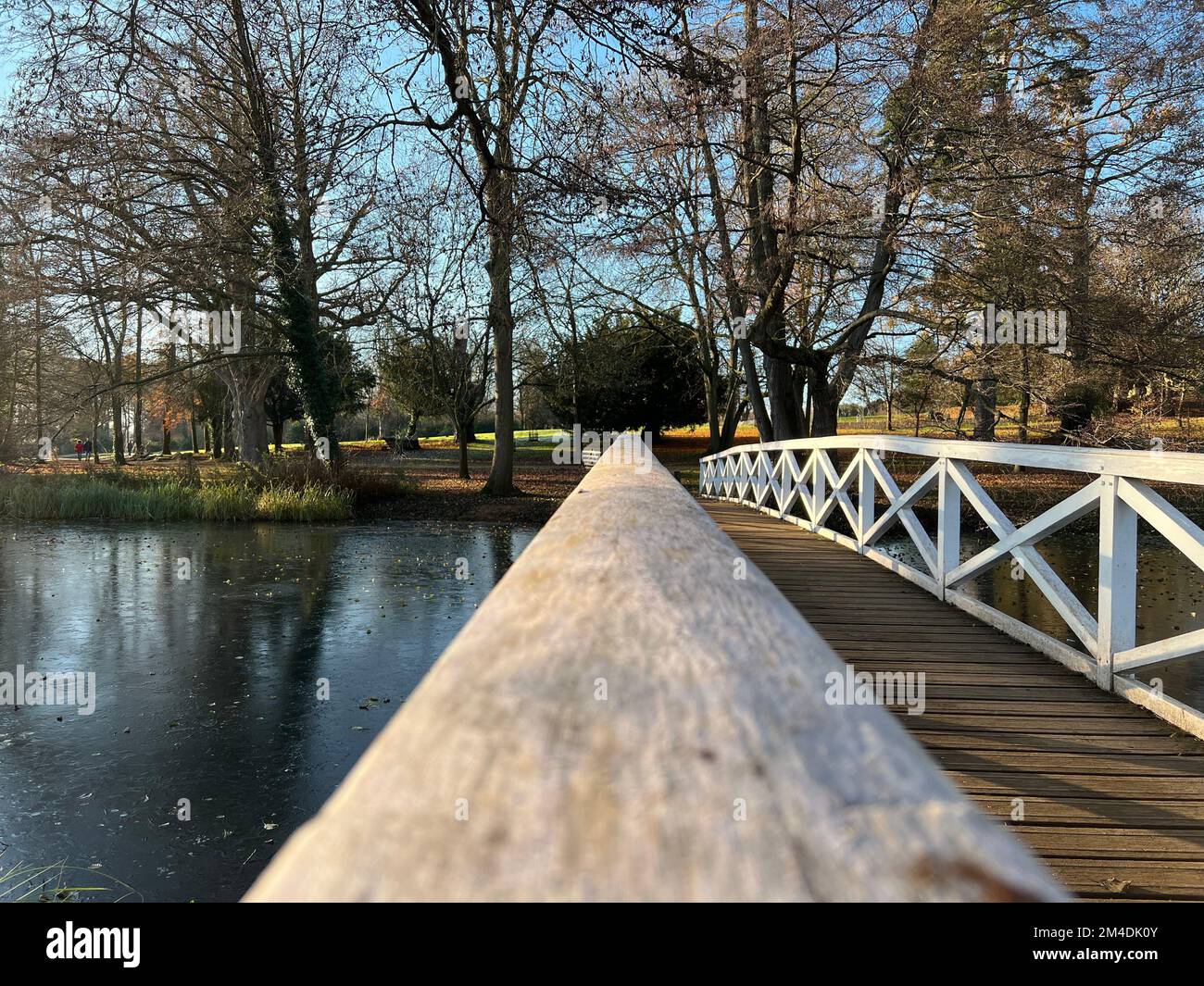 A beautiful scenery of narrow wooden bridge over river in a park during ...