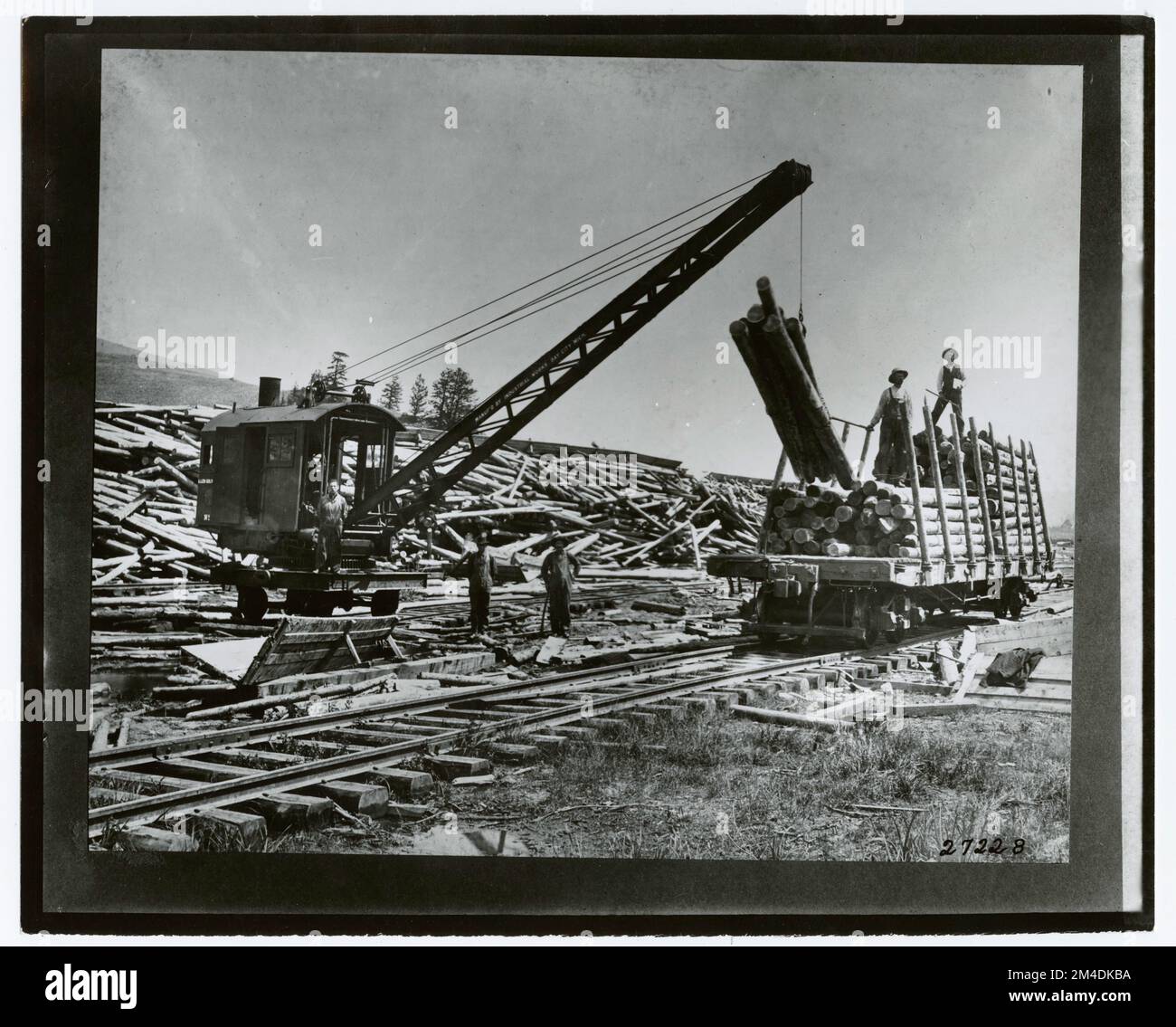Miscellaneous Wood Products - Mine Props/ Stulls. Photographs Relating ...