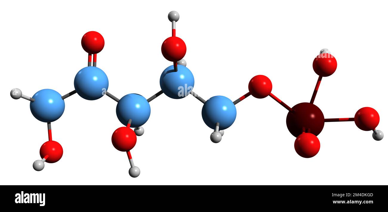 3D image of Ribulose 5-phosphate skeletal formula - molecular chemical ...
