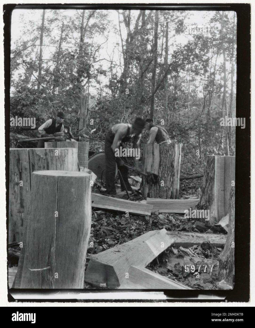 Crude Products - Bolts, Staves. Photographs Relating to National ...