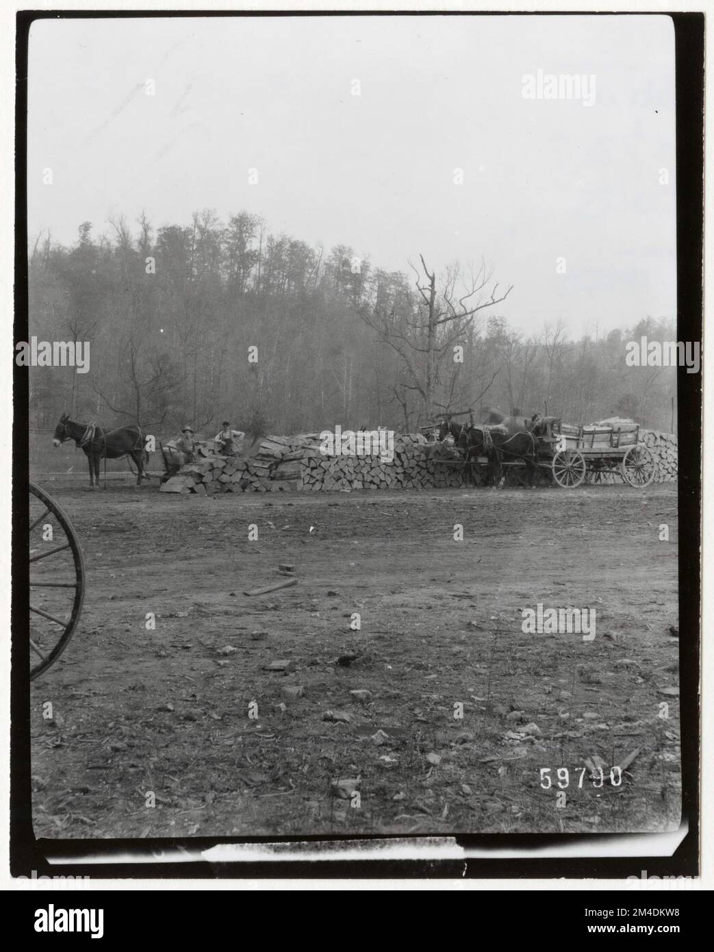 Crude Products - Bolts, Staves. Photographs Relating to National ...