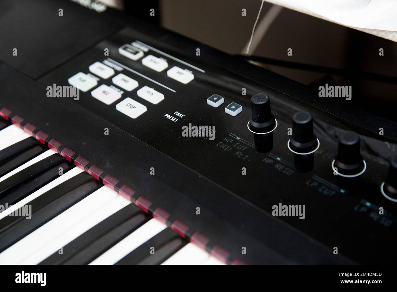 Black Saint photographed at their studio in London, 2 May 2017, for ...