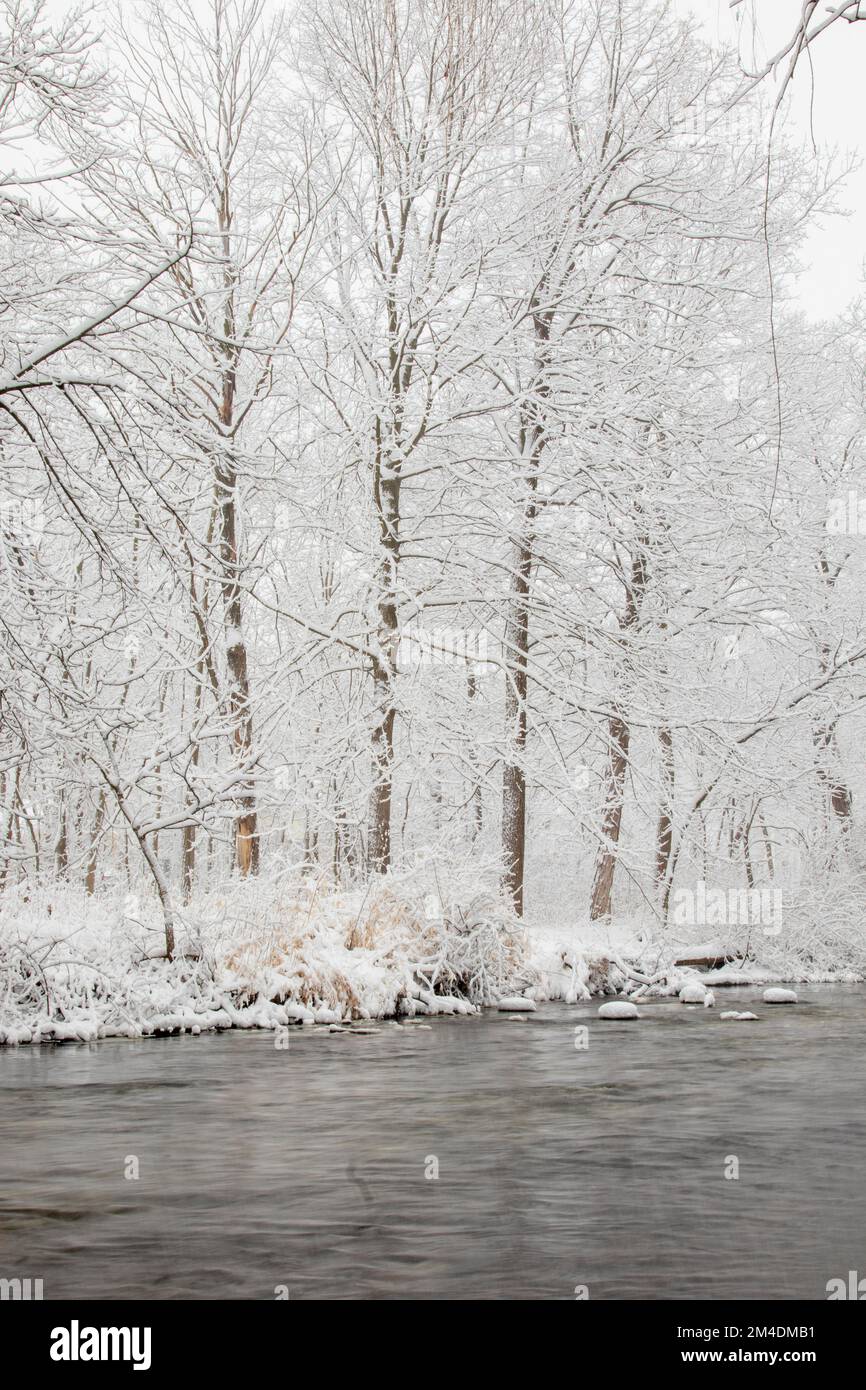 White fresh snow hi-res stock photography and images - Alamy