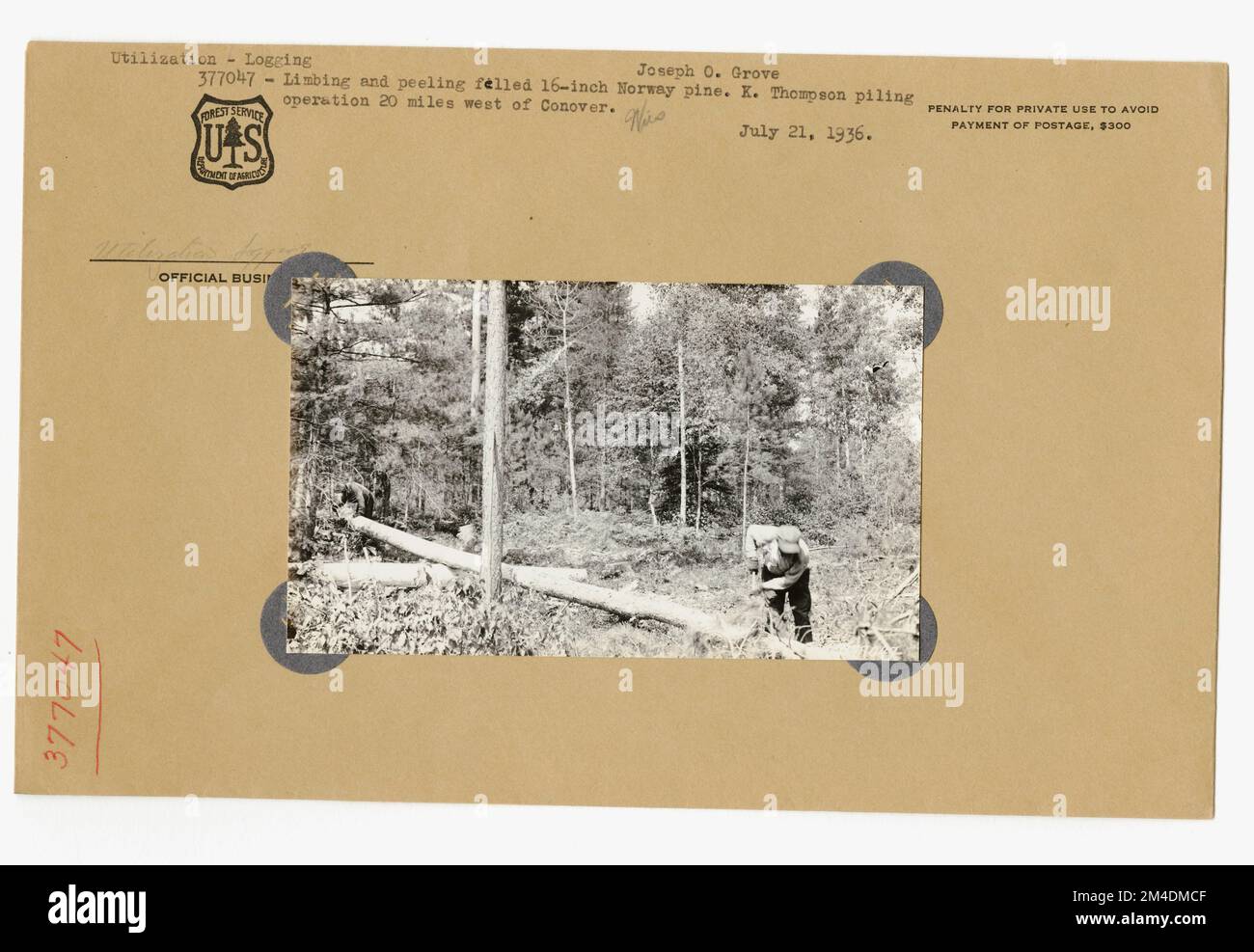 Wood Utilization. Photographs Relating to National Forests, Resource ...