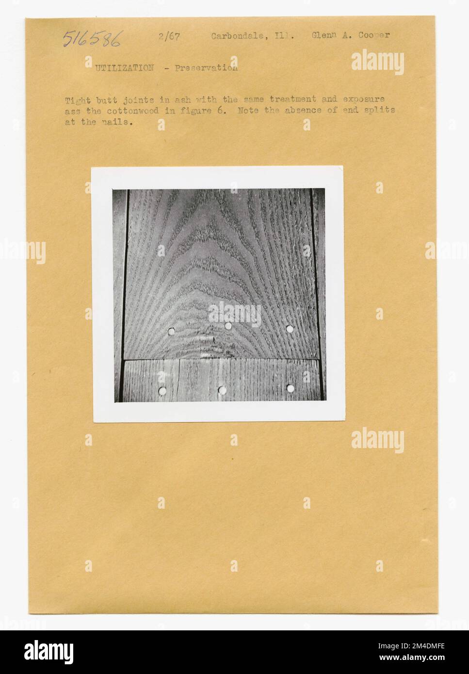 Wood Utilization. Photographs Relating to National Forests, Resource ...