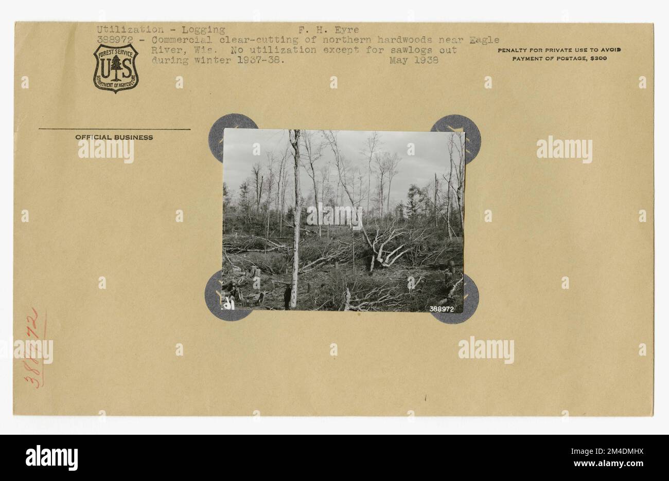 Wood Utilization. Photographs Relating to National Forests, Resource ...