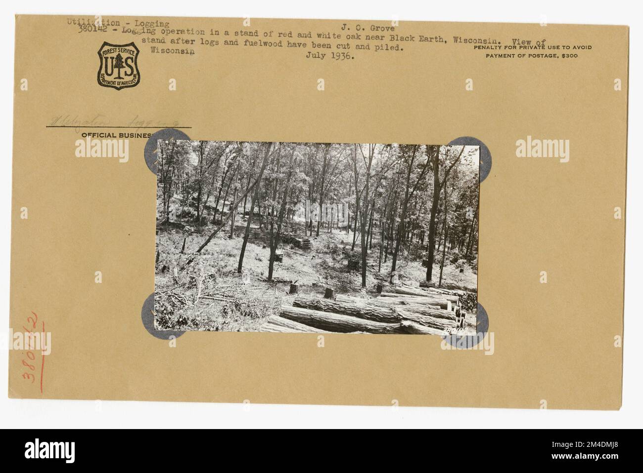 Wood Utilization. Photographs Relating to National Forests, Resource ...