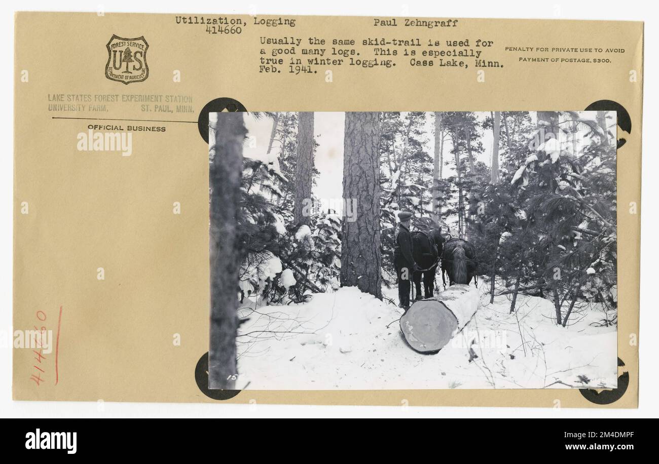Wood Utilization. Photographs Relating to National Forests, Resource ...