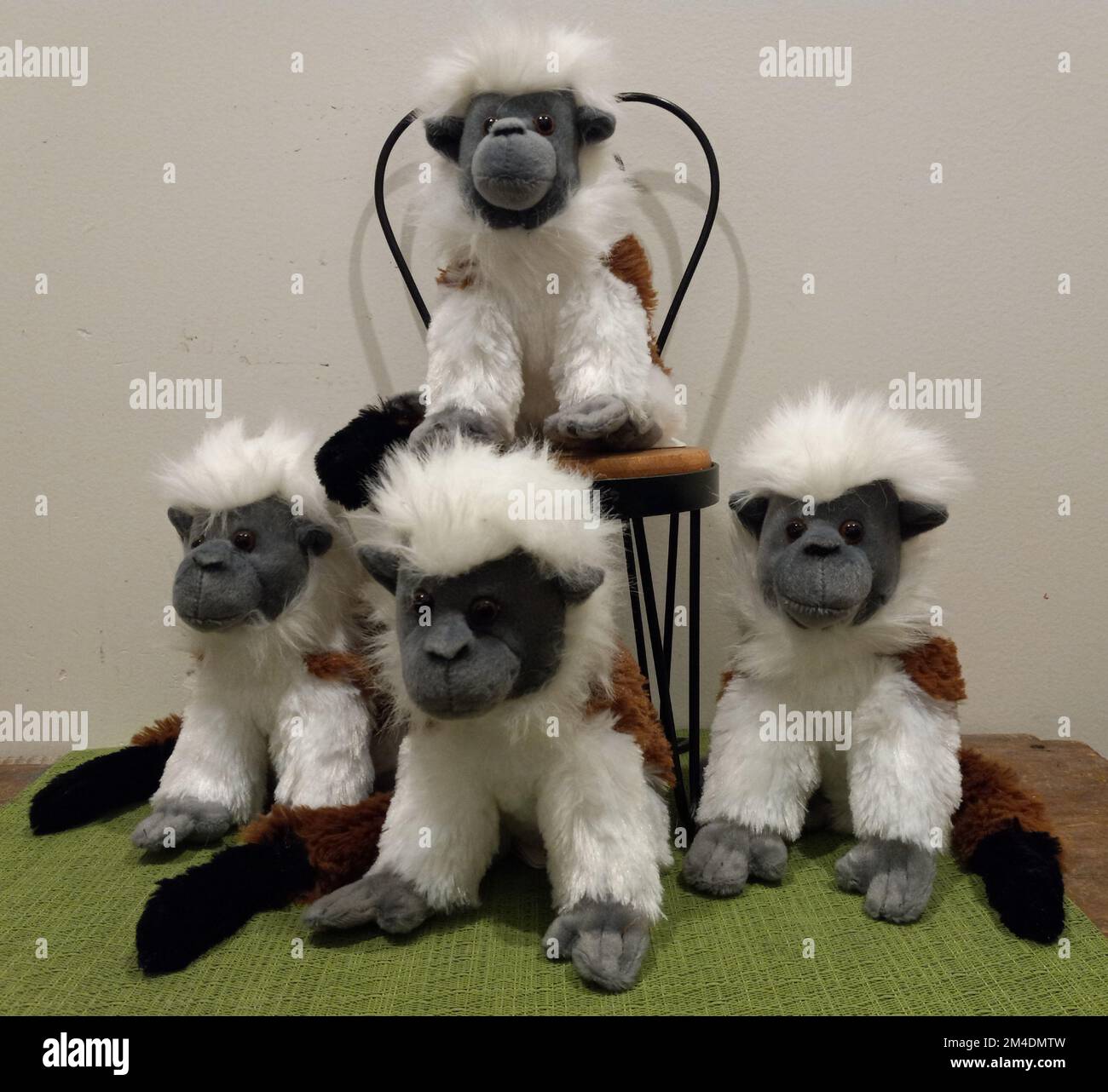 4 monkeys posing in front of camera Stock Photo - Alamy