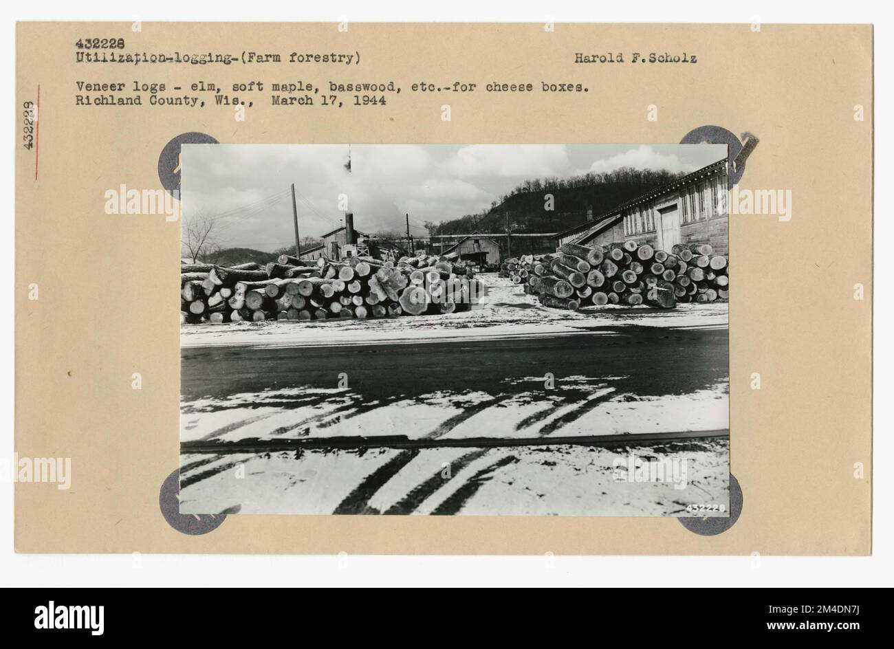 Wood Utilization. Photographs Relating to National Forests, Resource ...