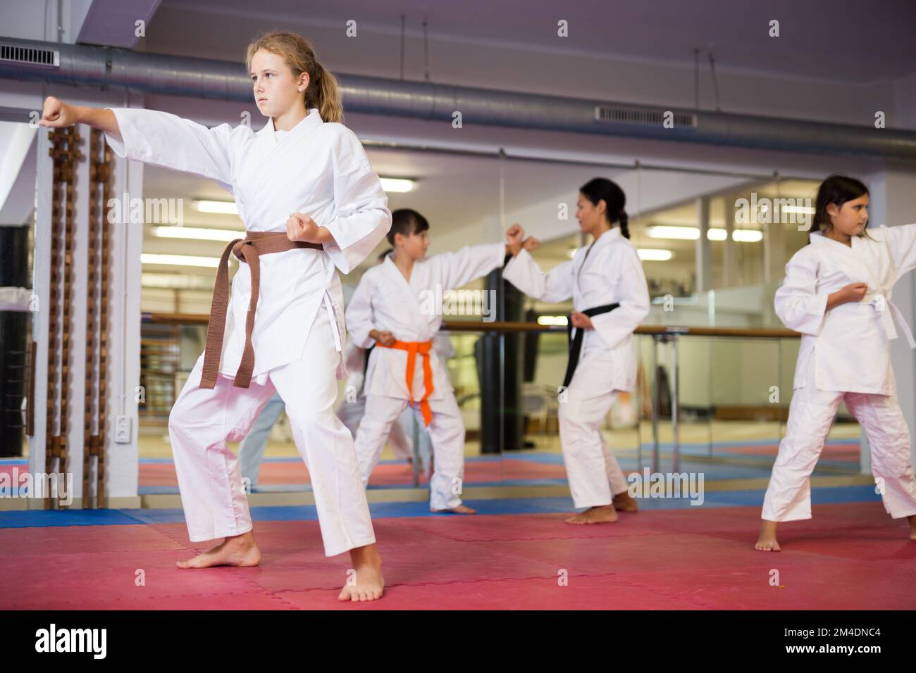Girls in kimono standing in combat stance in gym Stock Photo - Alamy