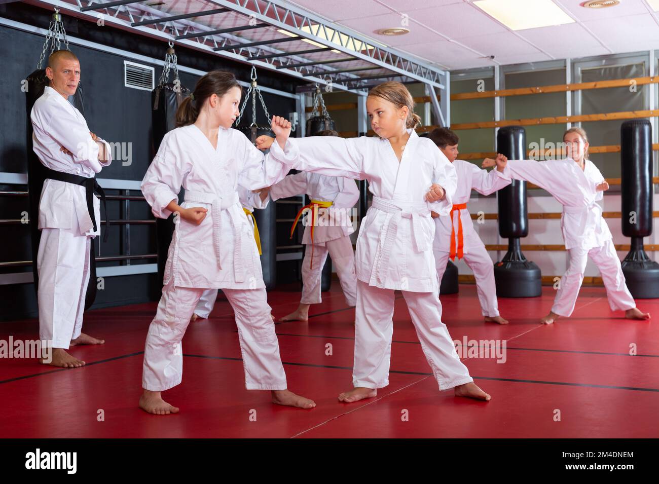 Kids on karate training in gym Stock Photo - Alamy