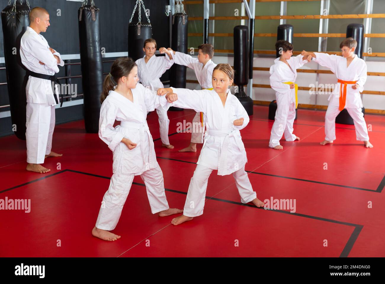 School girls practicing new karate moves in pairs Stock Photo - Alamy