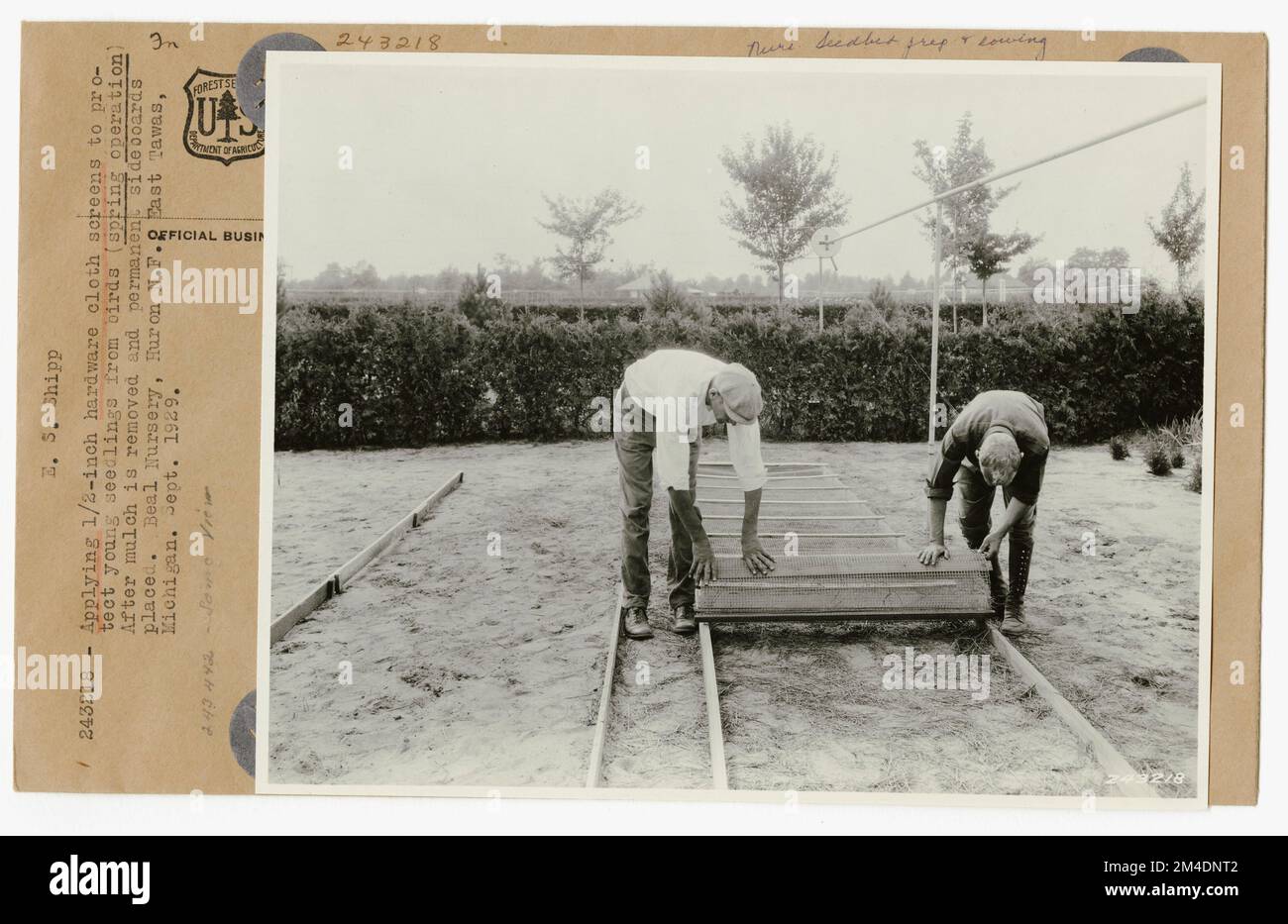 Range Improvement - Seeding - General. Photographs Relating to National ...