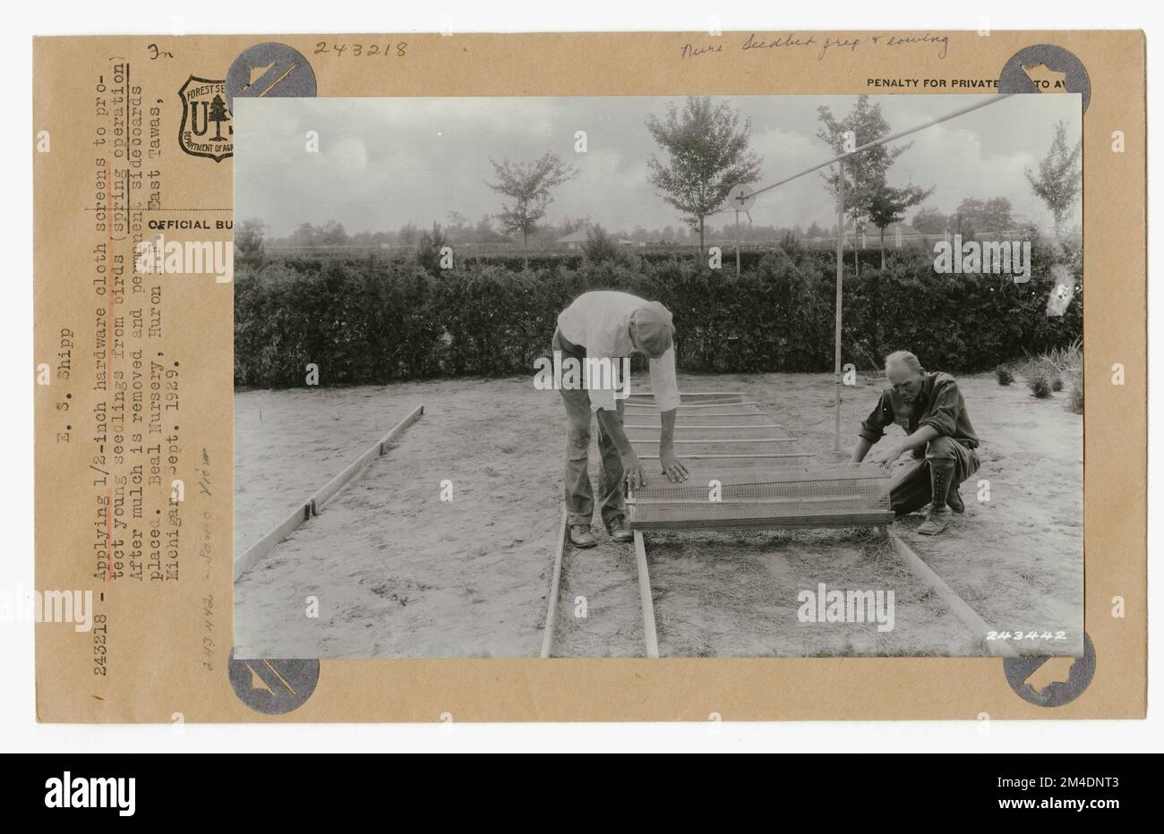 Range Improvement - Seeding - General. Photographs Relating to National ...