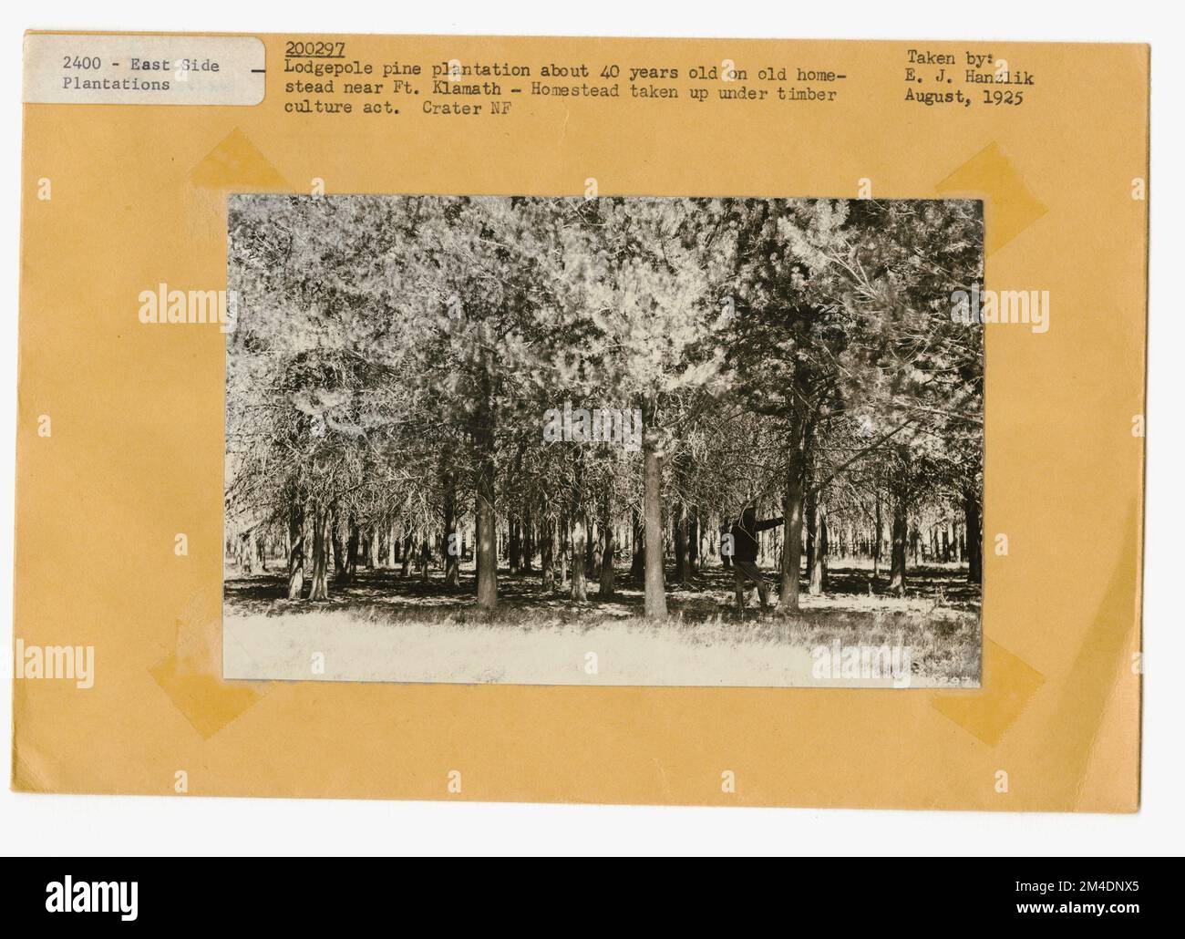Range Improvement - Seeding - General. Photographs Relating to National ...