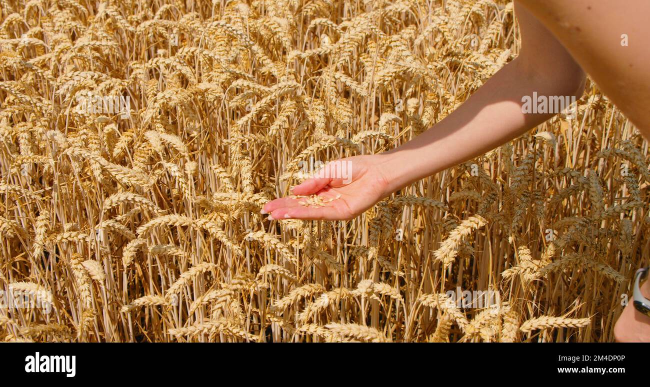 World hunger poverty hi-res stock photography and images - Alamy