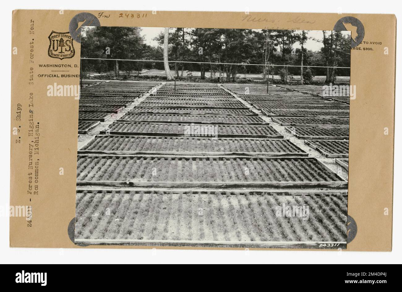 Range Improvement - Seeding - General. Photographs Relating to National ...