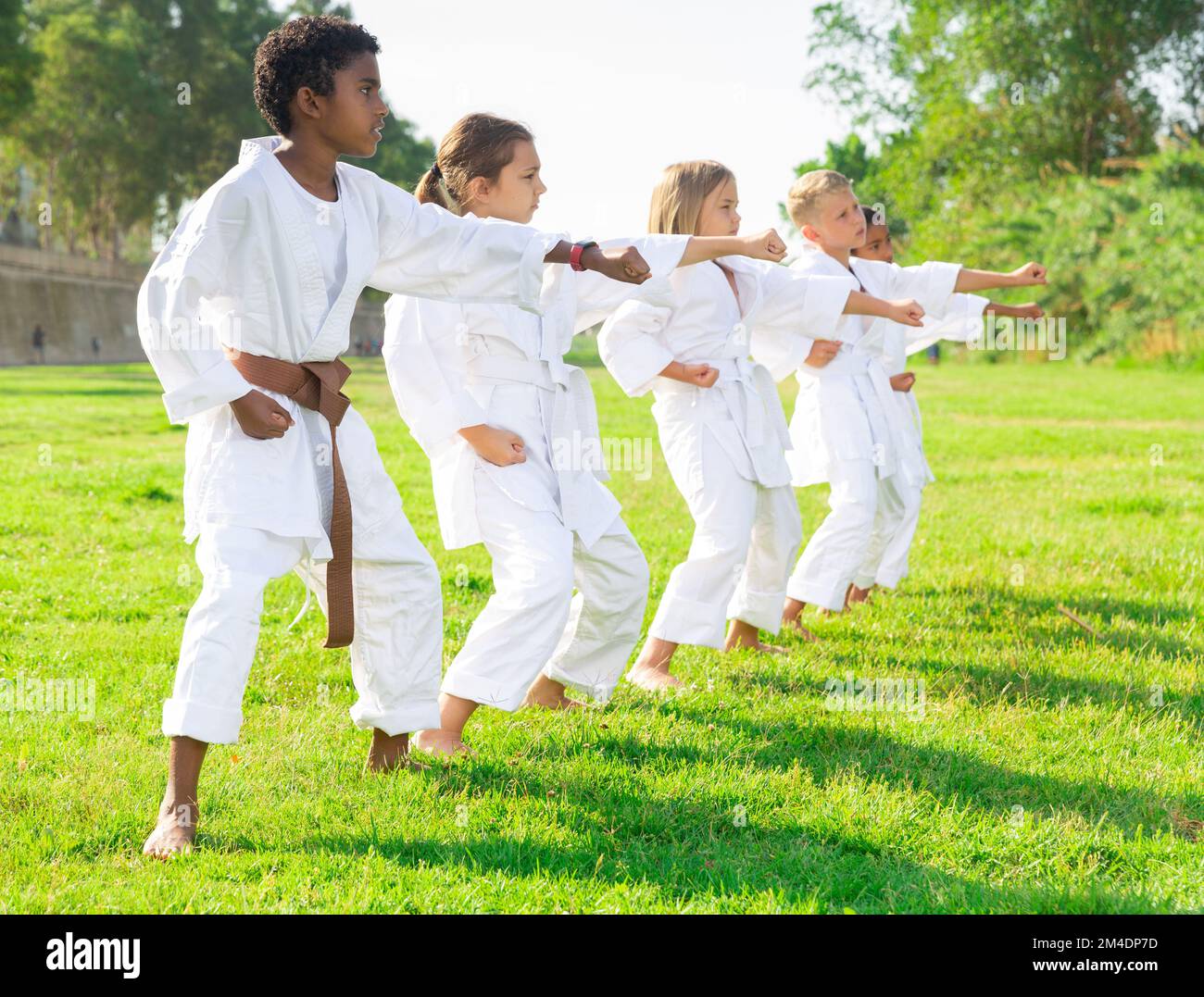 Karate group in kimono, workout in summer field. Martial art training ...