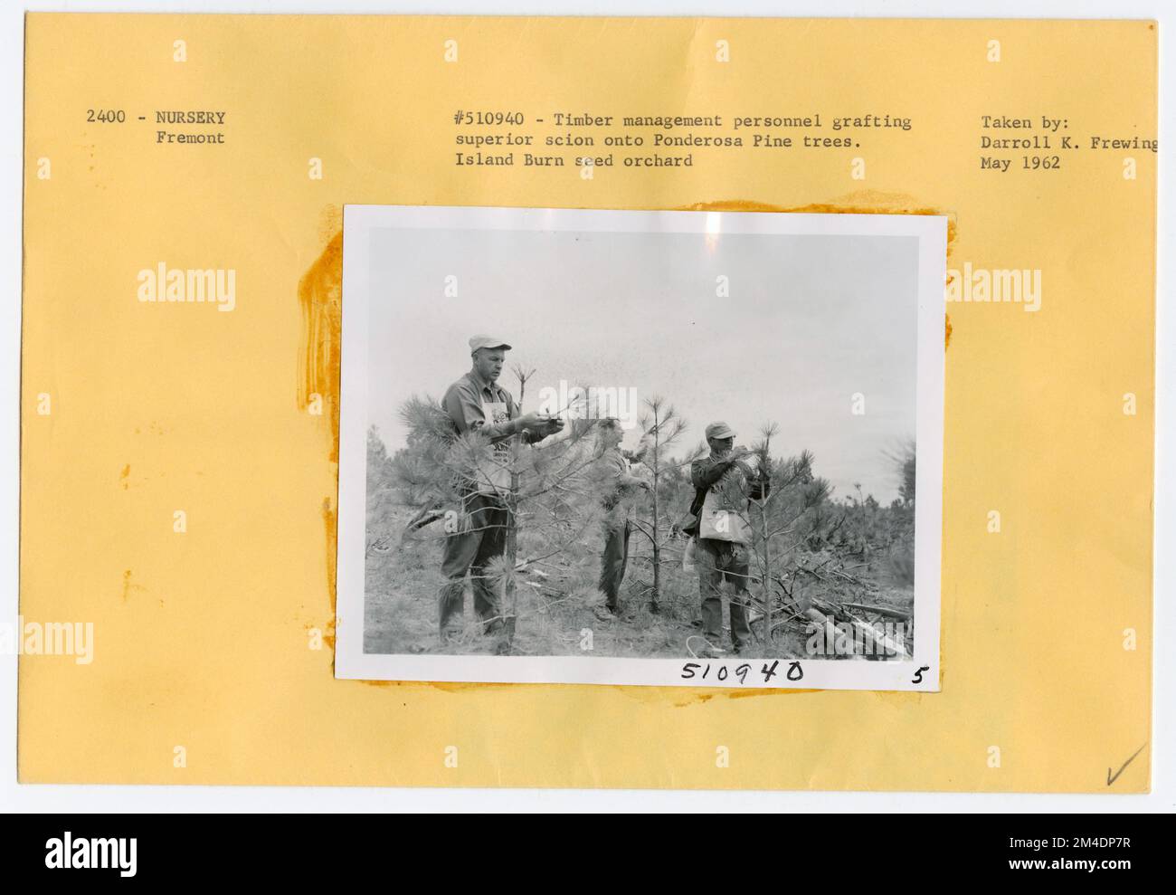 Range Improvement - Seeding - General. Photographs Relating to National ...