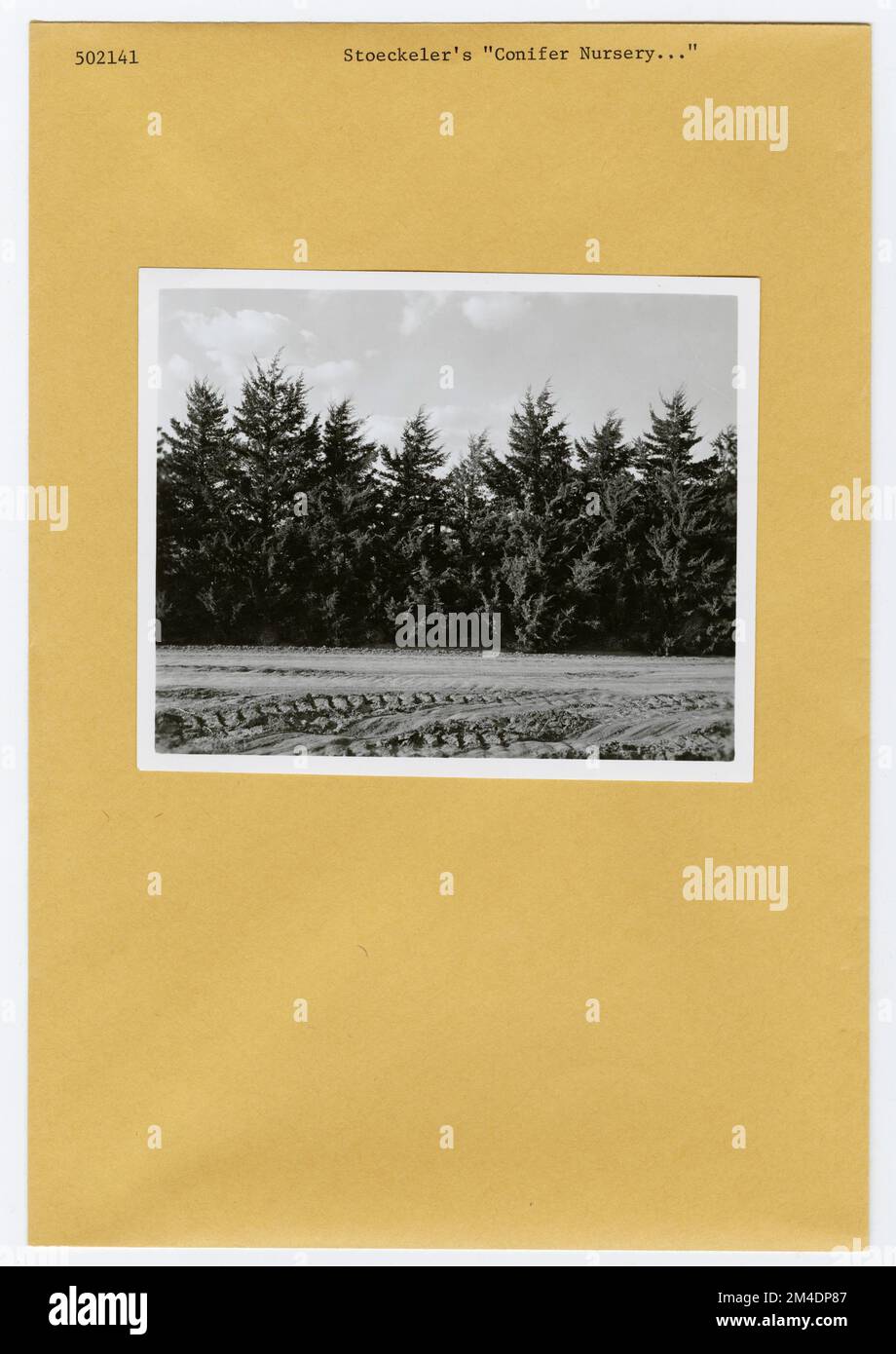Range Improvement - Seeding - General. Photographs Relating to National ...